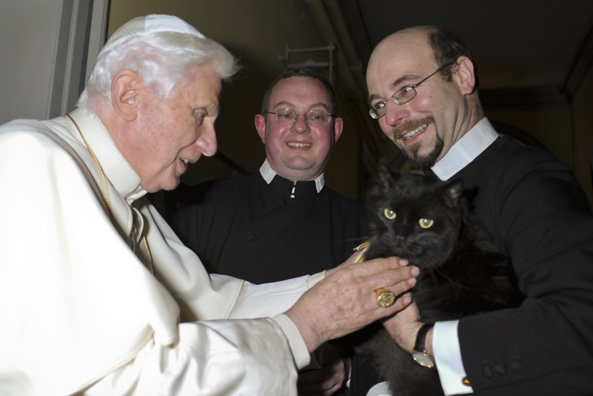 German pope made no secret of his love for cats - Mississippi Catholic