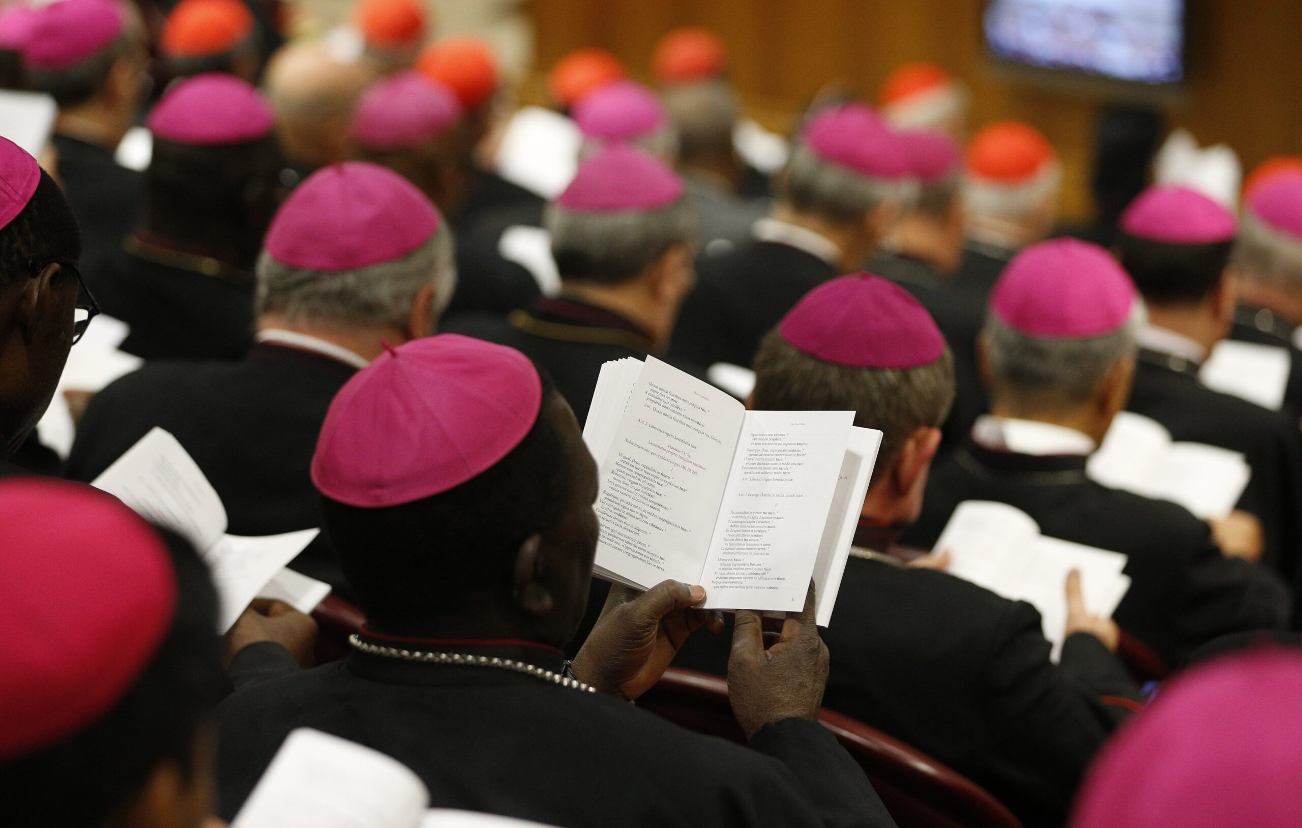 10 things to know about October's Synod on Synodality in Rome ...