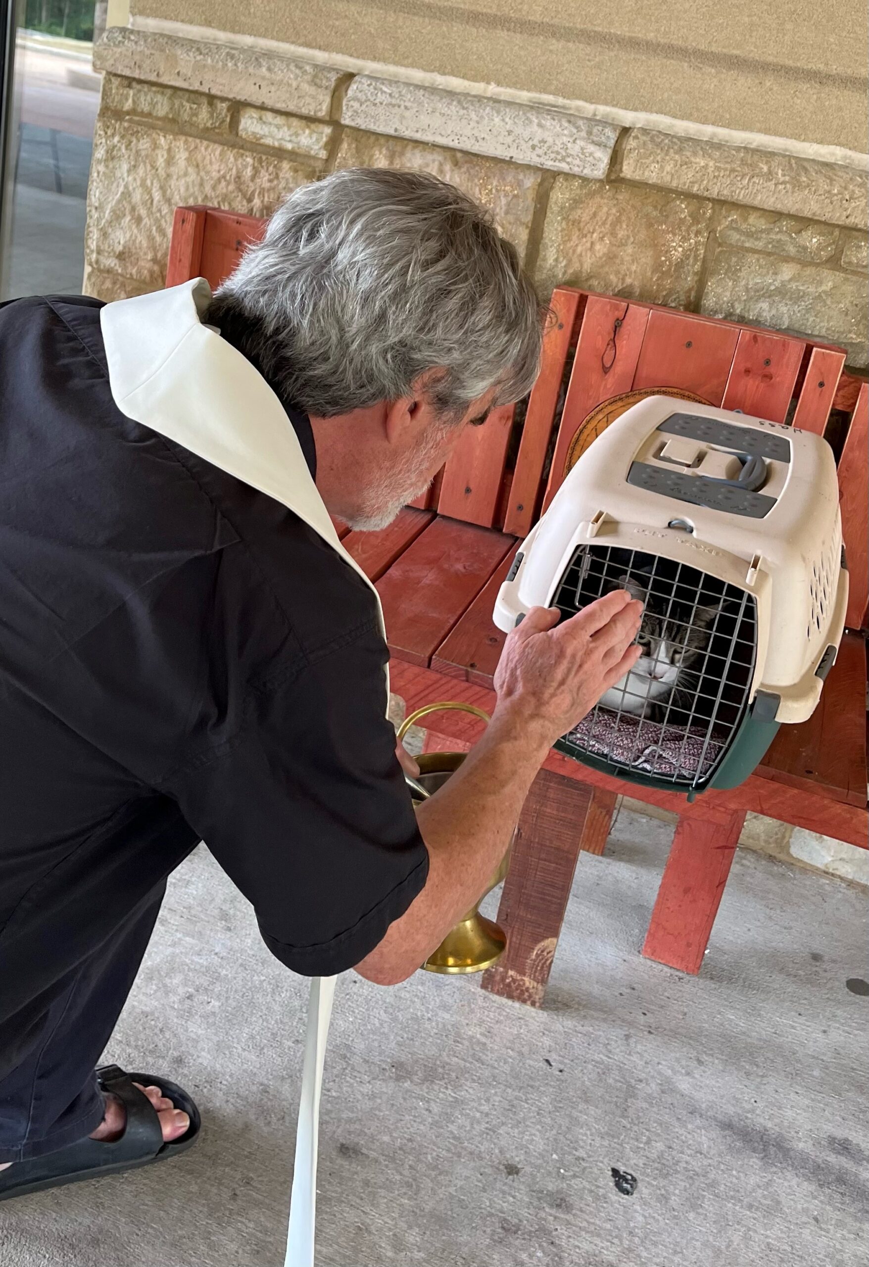 Around the diocese: Blessing of the animals for the Feast of St ...