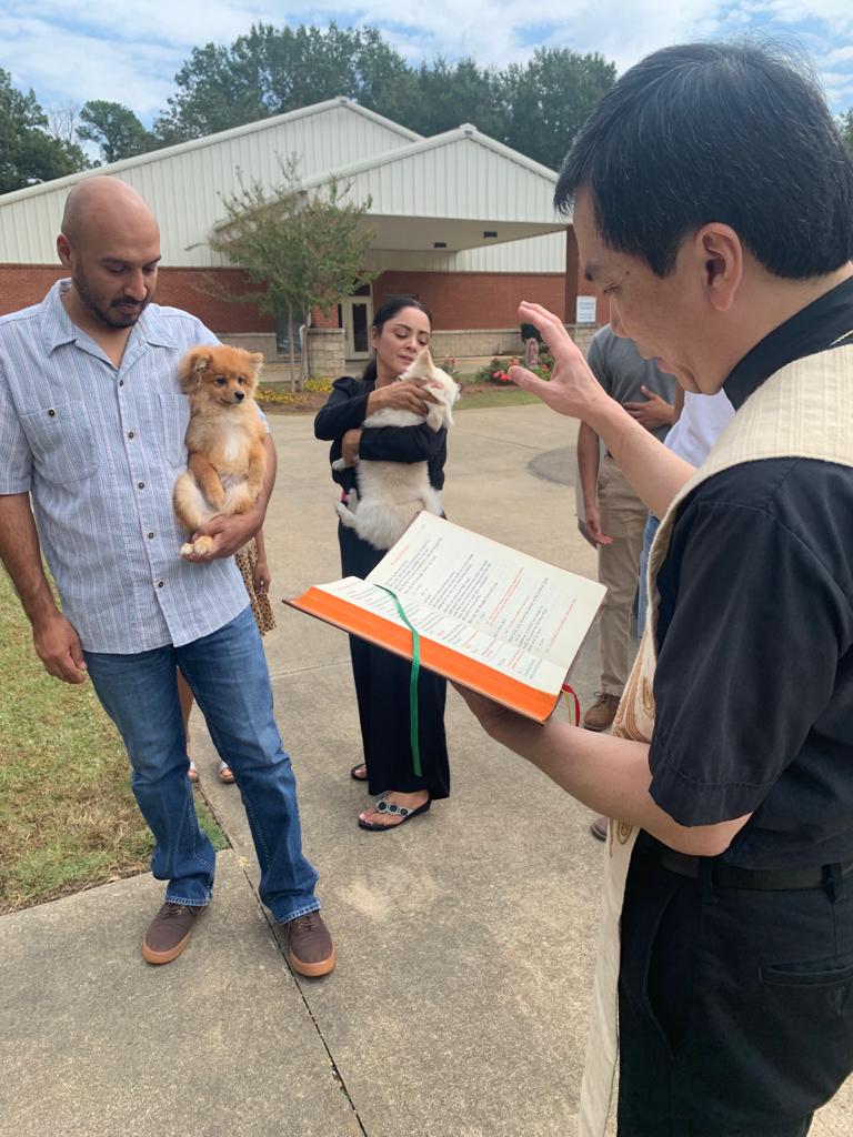 Around the diocese: Blessing of the animals for the Feast of St ...